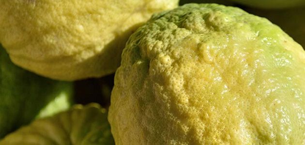 Ingrédient - Le Cédrat, son utilisation et ses bienfaits