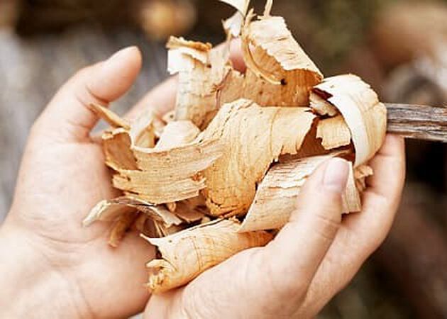 Ingrédient - Le Cade, son histoire & ses bienfaits